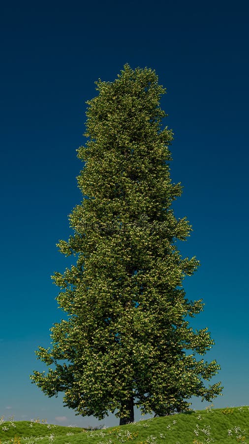 A Lone Tree on a Hill Under a Blue Sky,3D Illustration Stock ...