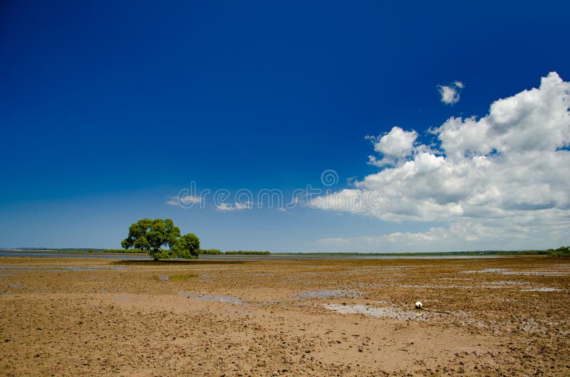 Queensland Beach stock photo. Image of nature, cove, palm - 22294688