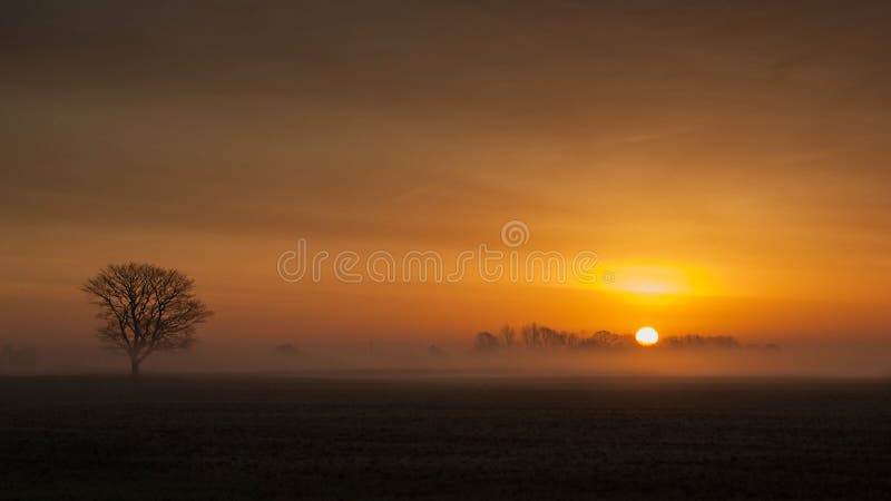 Lone Tree Branch Reaching Out Over a Rural Road on a Cloudy Day Stock ...