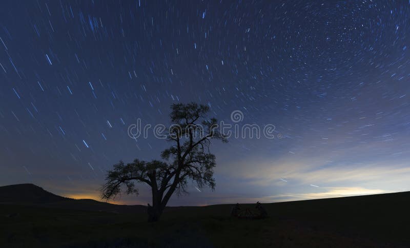 Lone Tree at Night stock image. Image of starry, tree - 93253251