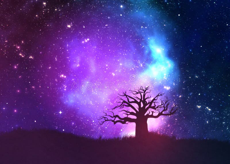 Day and night tree stock illustration. Illustration of sunrays - 27440860