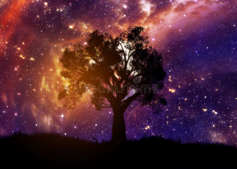 Day and night tree stock illustration. Illustration of sunrays - 27440860