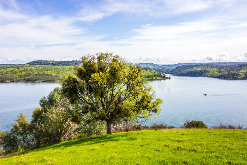 Lone Tree Overlooking Foothills Reservoir Stock Image - Image of large ...