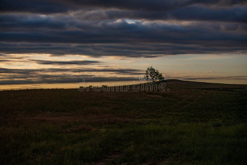 A Lone Tree on the Plains As the Clouds Part at Sunset Stock Photo ...