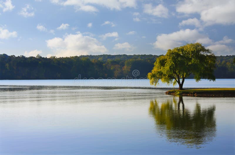 19,000+ Tree river Free Stock Photos - StockFreeImages