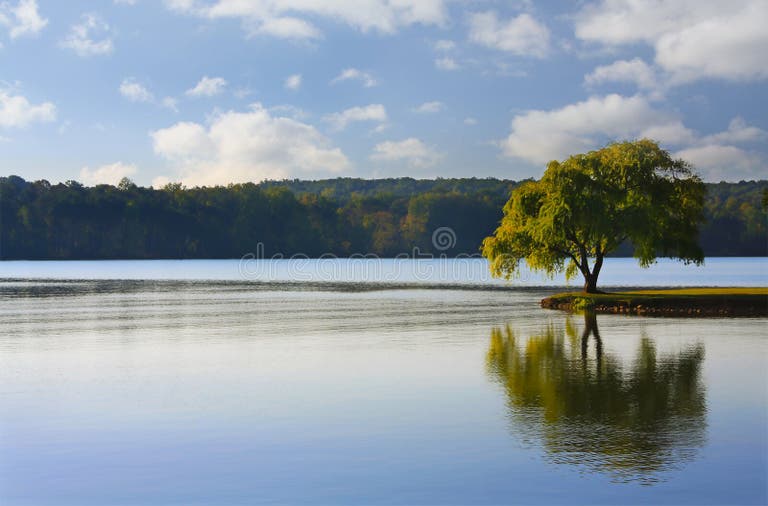 1,711,496 Tree By The River Stock Photos - Free & Royalty-Free Stock ...