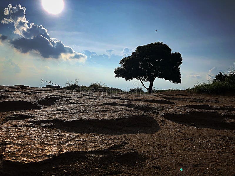 Lone Tree in Rocky Mountain Stock Photo - Image of rock, mountain ...