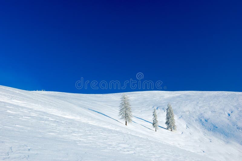 Lone Tree in Snow-covered Valley Stock Photo - Image of cold, purity ...