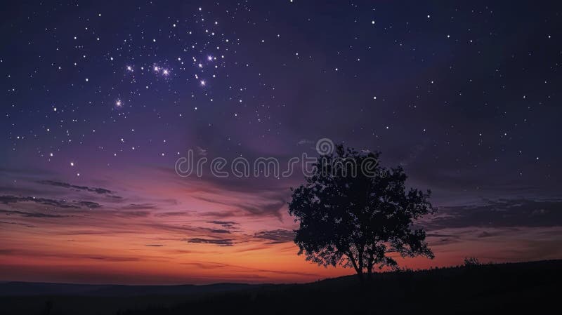 A Lone Tree Standing Out Against the Night Sky. Perfect for Nature or ...