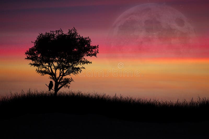 Lone tree stock photo. Image of maple, single, summer - 5824298