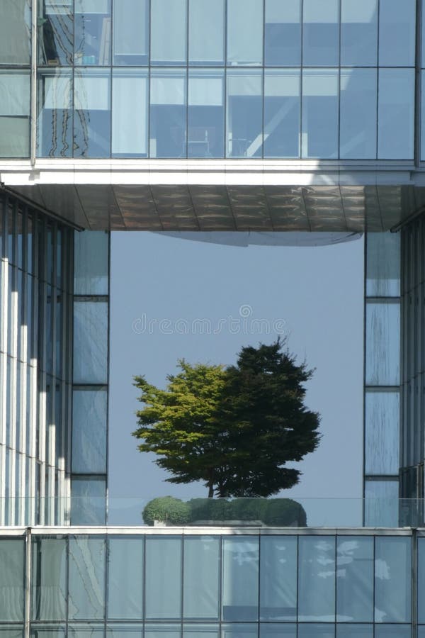 Nature within Construction stock image. Image of outdoor - 114004079