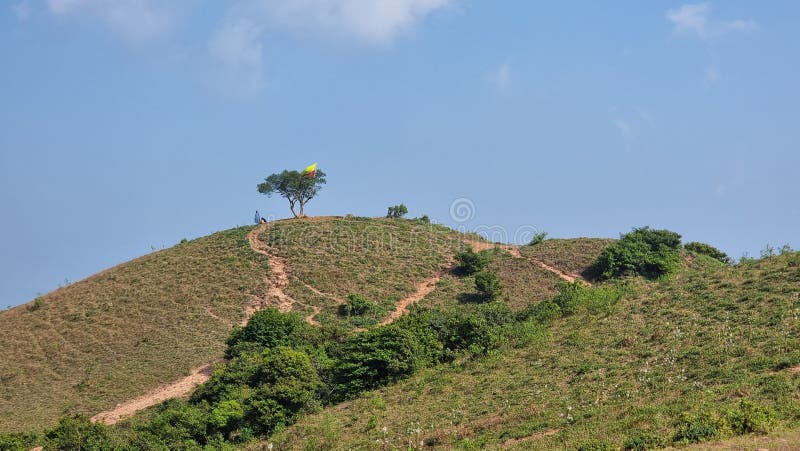 Lone Tree on Top of a Hill at Devaramane in the Western Ghats of ...
