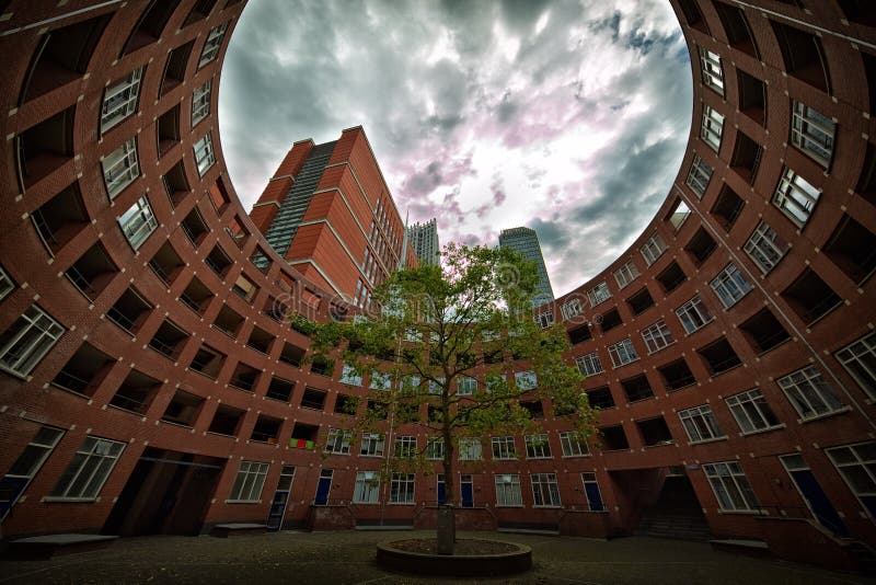 The lone tree stock image. Image of cityscape, office - 161390889