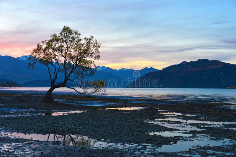 The lone tree twilight stock photo. Image of clear, lookout - 97925474