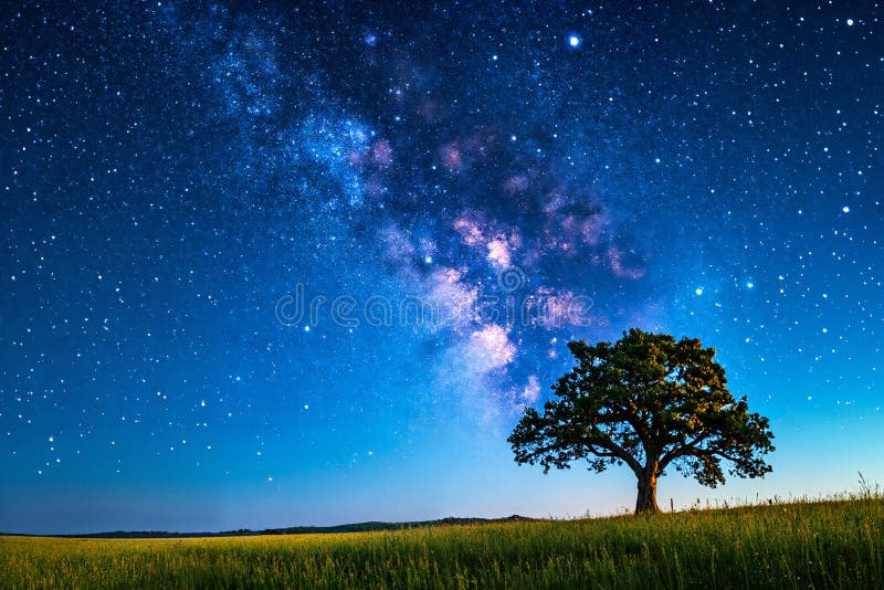 A Lone Tree Under a Starry Sky with Shooting Stars Stock Illustration ...