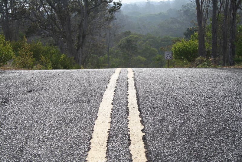 Foggy forest sunrise stock photo. Image of bright, morning - 61614274