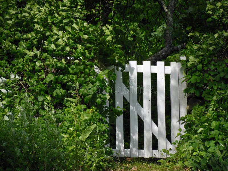 The white gate is open stock image. Image of historic - 157027189