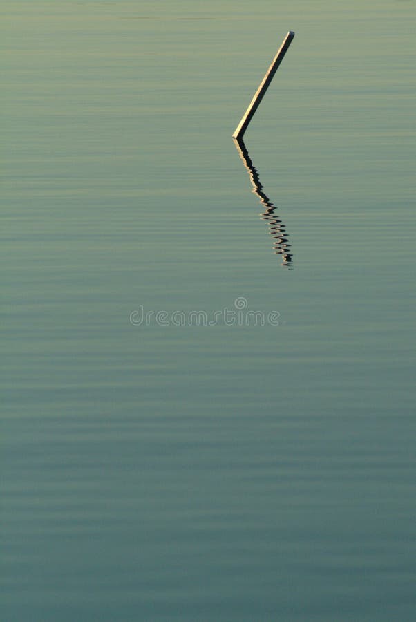 Lone Winter Mooring Stick in Water Stock Photo - Image of reflection ...
