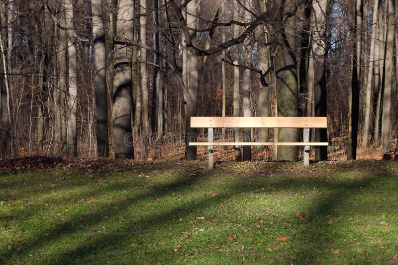 Lone wooden bench stock photo. Image of selective, macro - 18088420