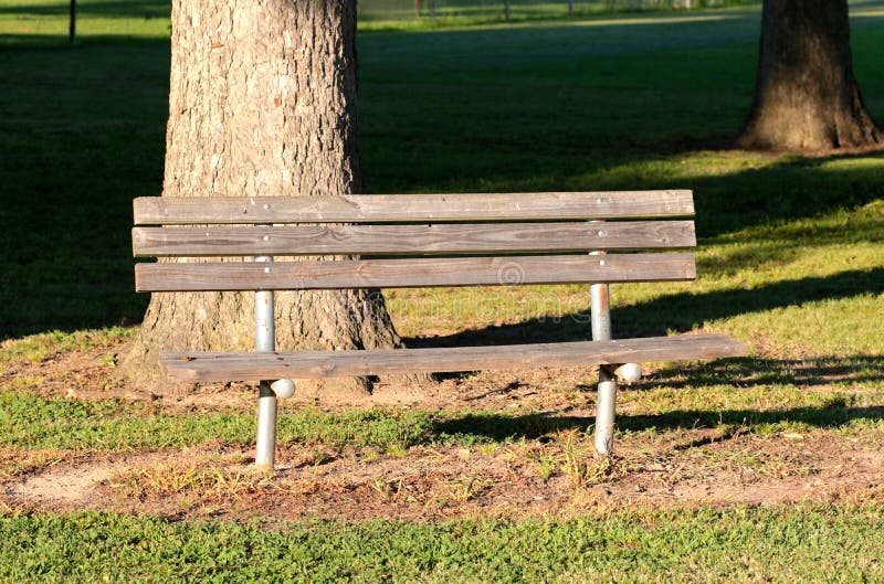 A Lone Wooden Bench in a Secluded Park Stock Photo - Image of single ...