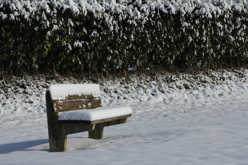 Lonely bank in cold snow stock photo. Image of blue - 171384900