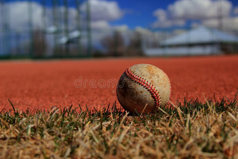 Baseball in Outfield Grass stock image. Image of closeup - 21442911