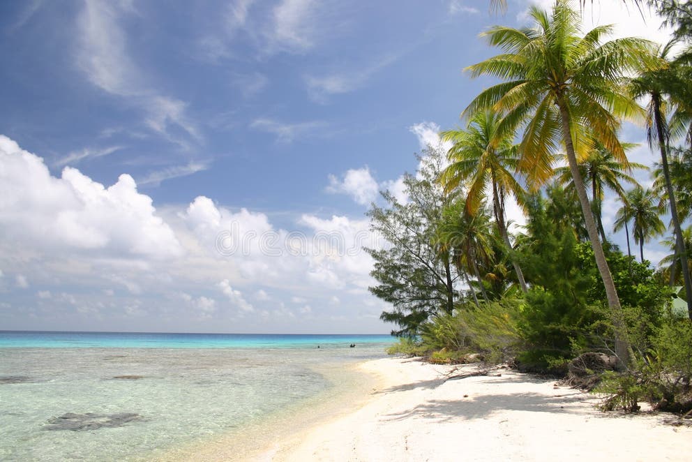 Lonely Beach on Rangiroa Island Stock Photo - Image of beauty, island ...