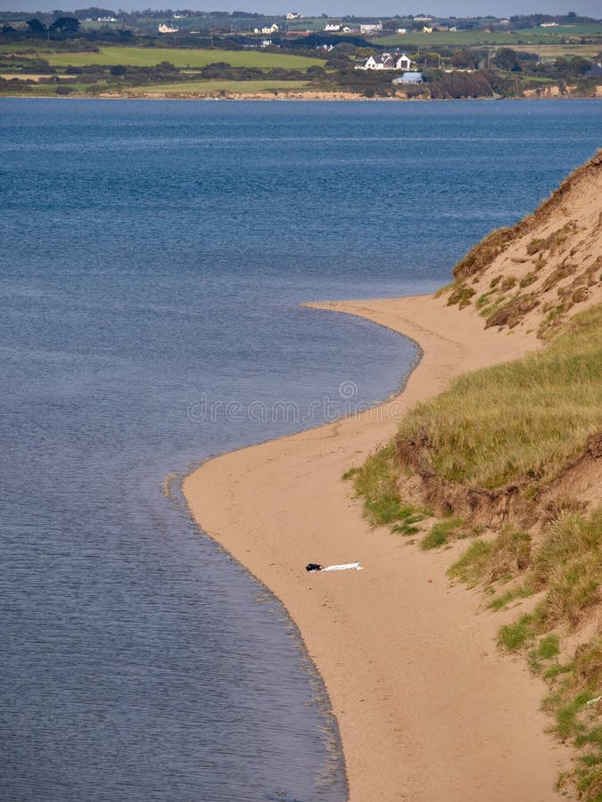 Lonely beach stock image. Image of sand, calm, towel - 59164603