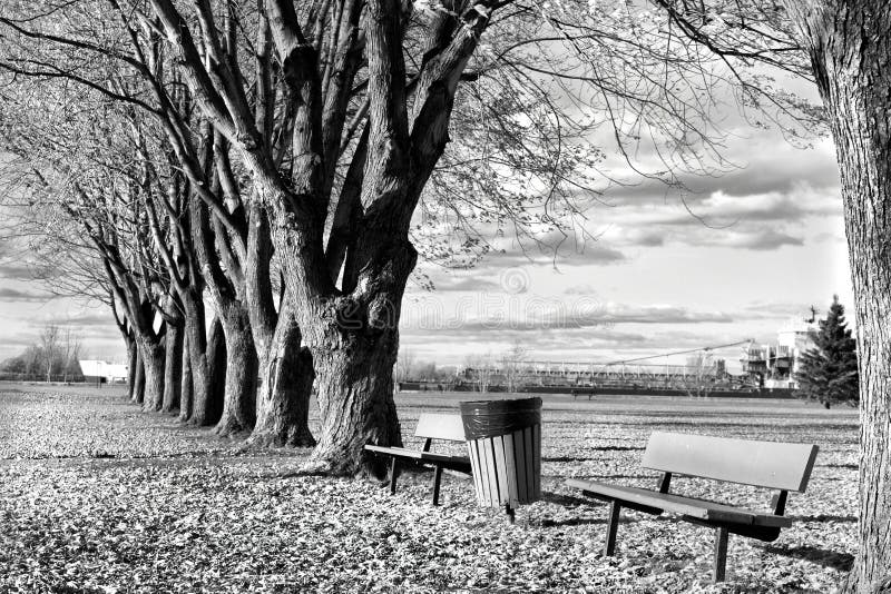 Lonely bench stock photo. Image of relaxing, colors, nature - 11643664