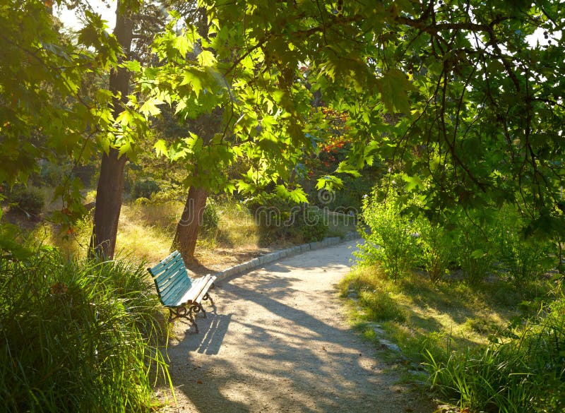 Lonely Bench with Beautiful Mountain Scenery Stock Image - Image of ...