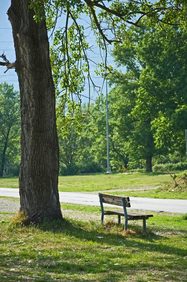 Lonely bench stock image. Image of outdoor, garden, bench - 19429553