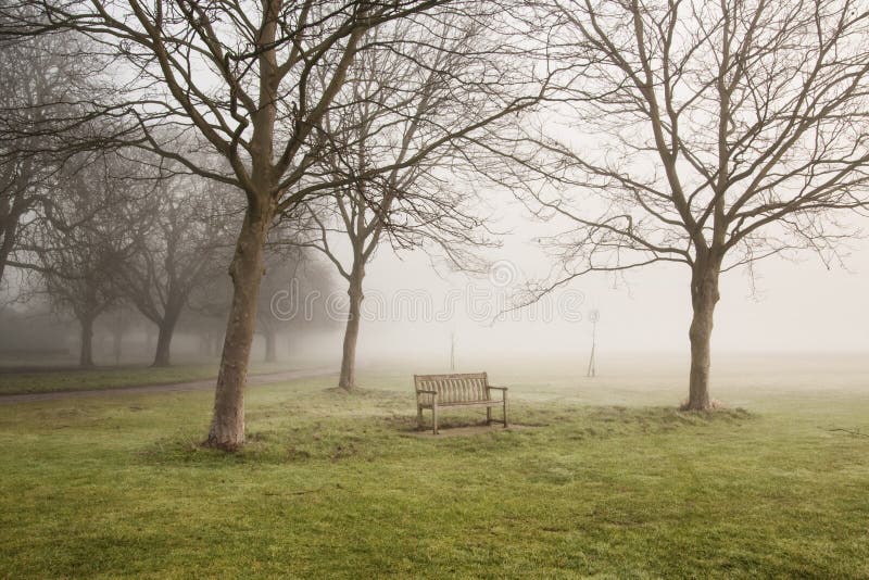 Lonely bench stock image. Image of mist, three, winter - 21760449