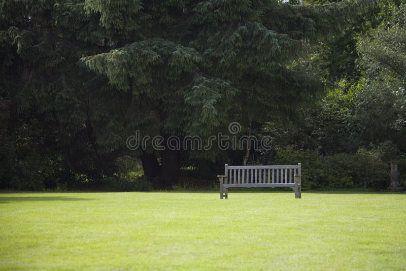 Lonely bench stock photo. Image of peaceful, outside, tranquil - 6915924