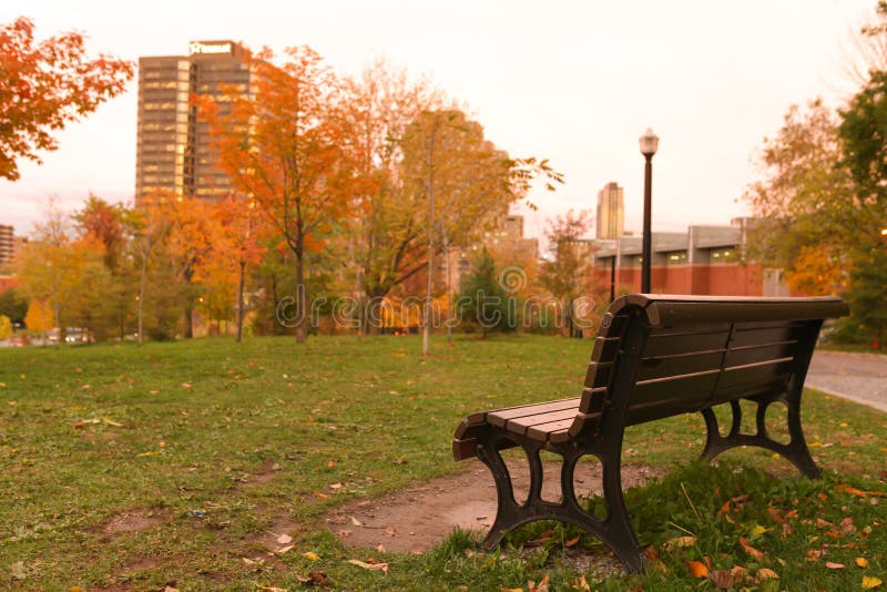 Lonely Bench in the Autumn Park Stock Image - Image of lane, beauty ...