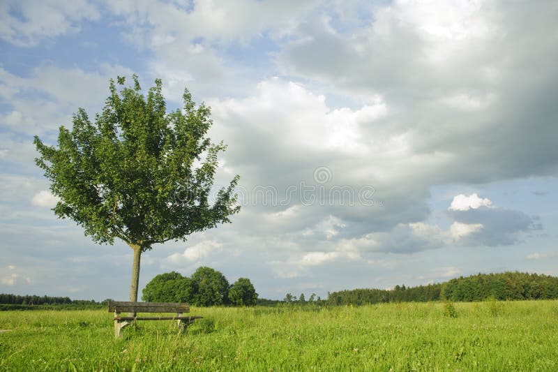 Lonely Bench with Beautiful Rural Scenery Stock Photo - Image of ...