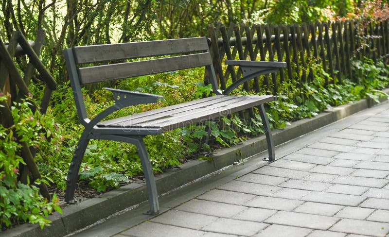 Lonely Bench in the City Park Stock Image - Image of wooden, seat ...