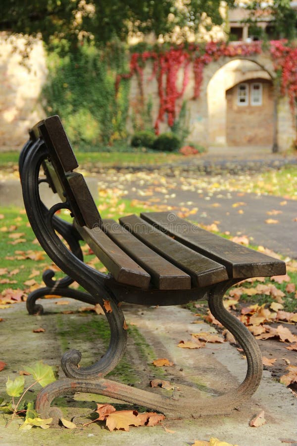 Lonely bench stock photo. Image of nature, wall, bright - 35380934