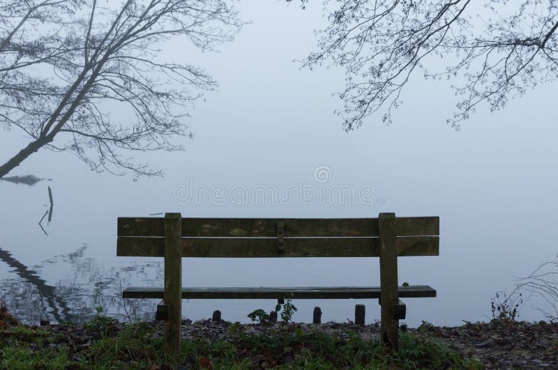 Lonely bench stock image. Image of bench, forest, wood - 36584595