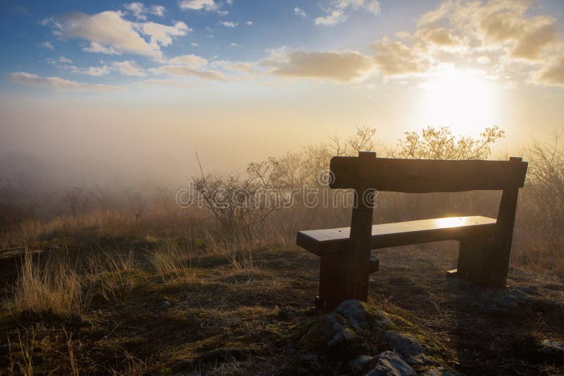 Lonely Bench in a Foggy Forest at Sunset Stock Image - Image of spooky ...
