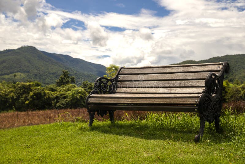 Lonely Bench in the Nature Park Stock Image - Image of relaxation ...