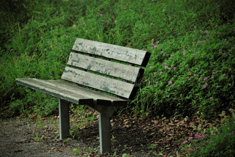 Lonely bench stock photo. Image of backgrounds, abundance - 95374170