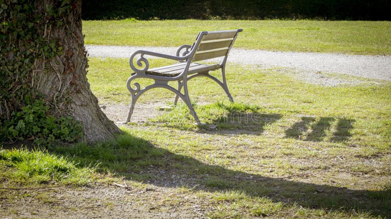 Lonely bench in a park stock image. Image of green, dark - 103462371