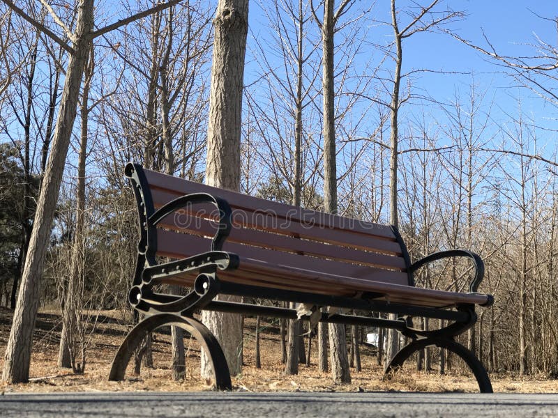 Lonely Bench in Park with Trees Behind in Nice Winter Day Stock Photo ...