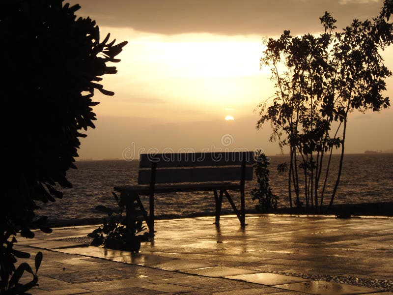 Lonely bench stock photo. Image of nature, raindrops - 50308040