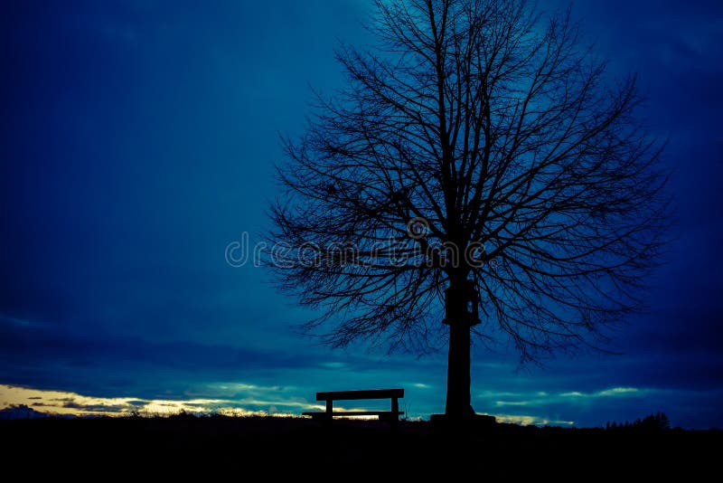 Lonely Bench in Silhouette. Empty Bench at Sunset Stock Image - Image ...