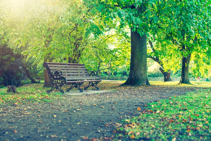 Lonely Bench Under the Tree in the Park. Selective Focus, Copy Space ...