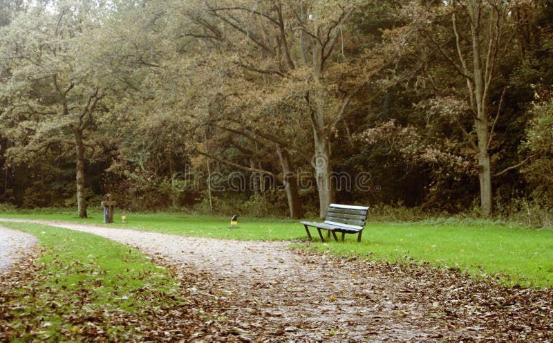 Lonely Bench with Beautiful Mountain Scenery Stock Image - Image of ...
