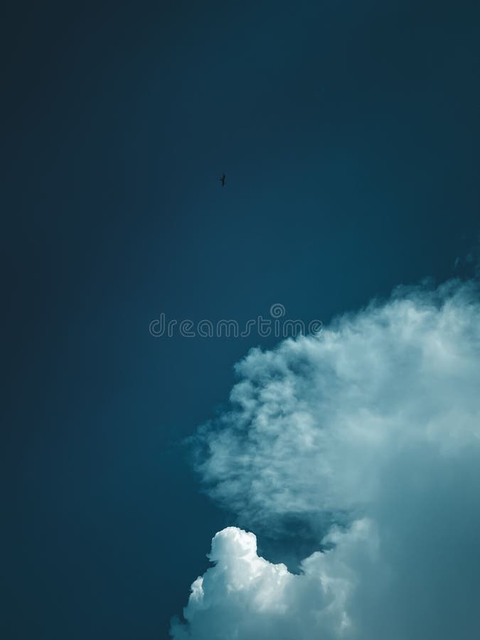 Lonely Bird in the Blue Sky with Piece of Cloud, Vertical, Background ...