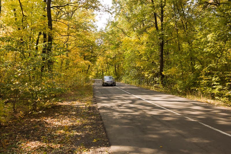 Lonely Car on a Deserted Forest Road Stock Image - Image of wide ...