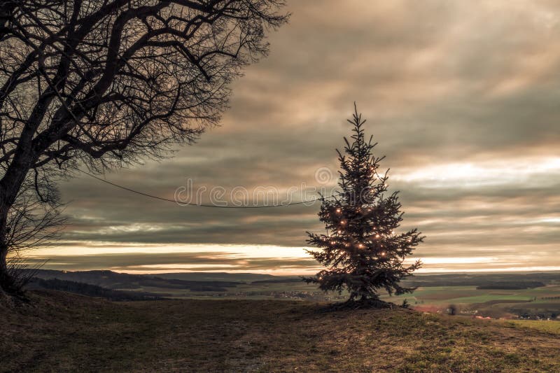 7,020 Lonely Christmas Tree Photos - Free & Royalty-Free Stock Photos ...